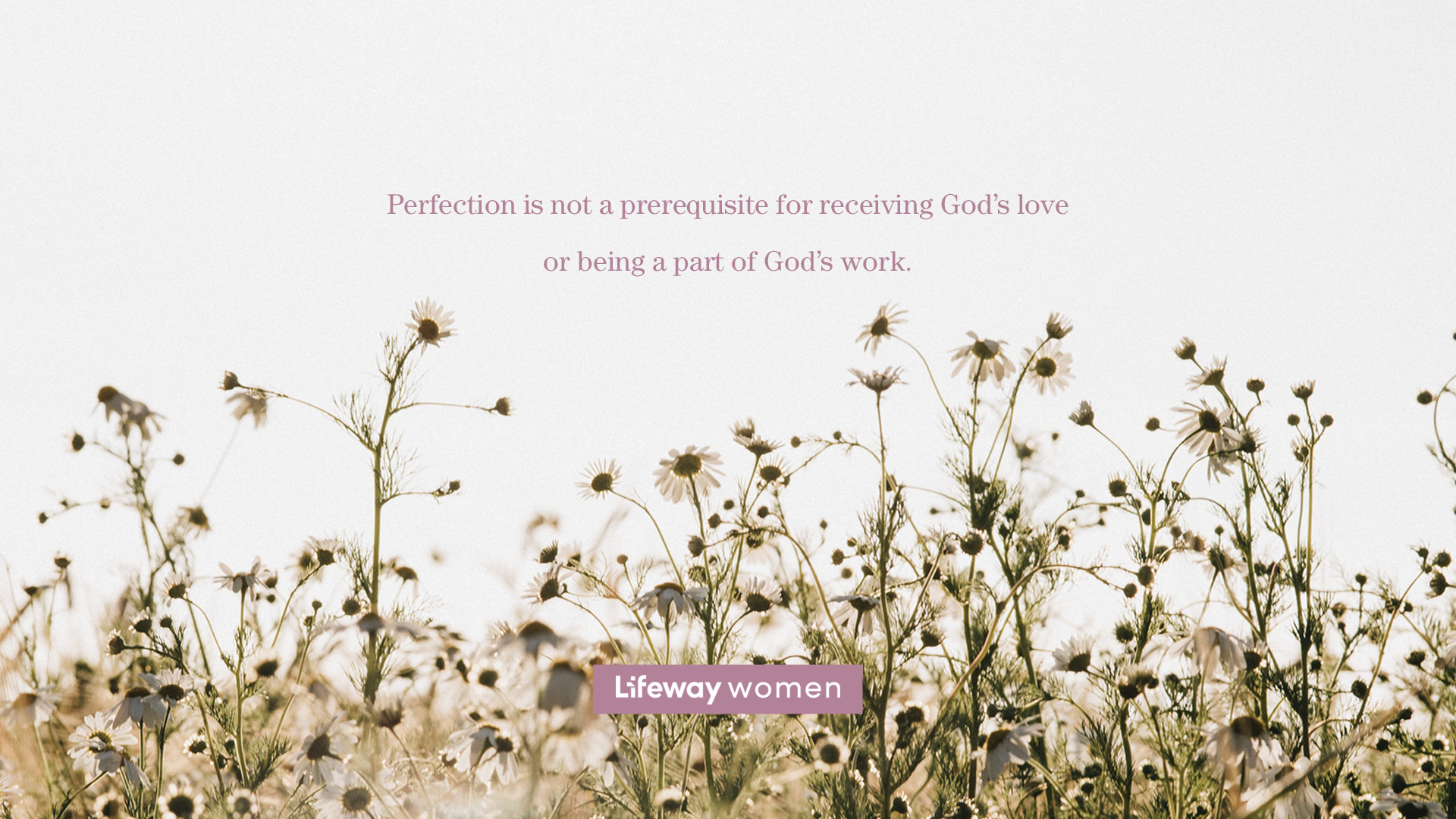 New Devoted Bible Study | Read an Excerpt - Lifeway Women