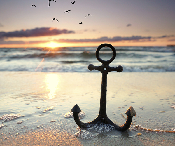 Announcing the "Anchored" Bible Study | Read an Excerpt - Lifeway Women